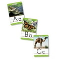 Animals from A to Z Manuscript Alphabet Set: 26 Ready-To-Display Letter ...