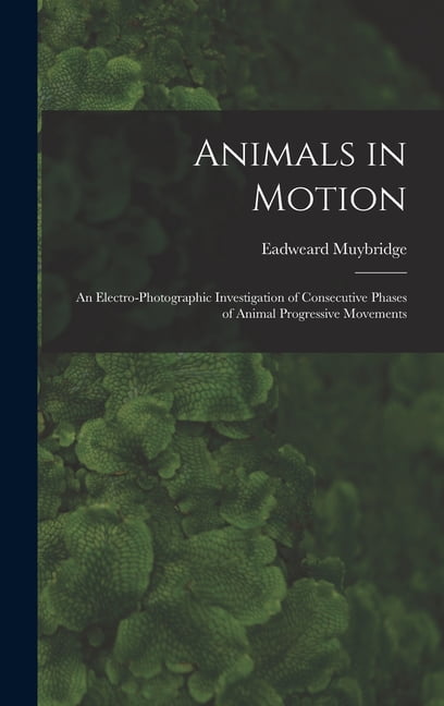 Animals in Motion: an Electro-photographic Investigation of Consecutive ...