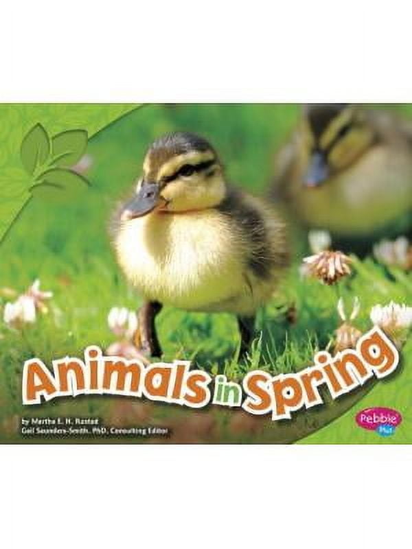 Animals in Spring - Walmart.com
