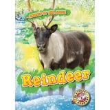 Animals of the Arctic Reindeer, (Hardcover) - Walmart.com