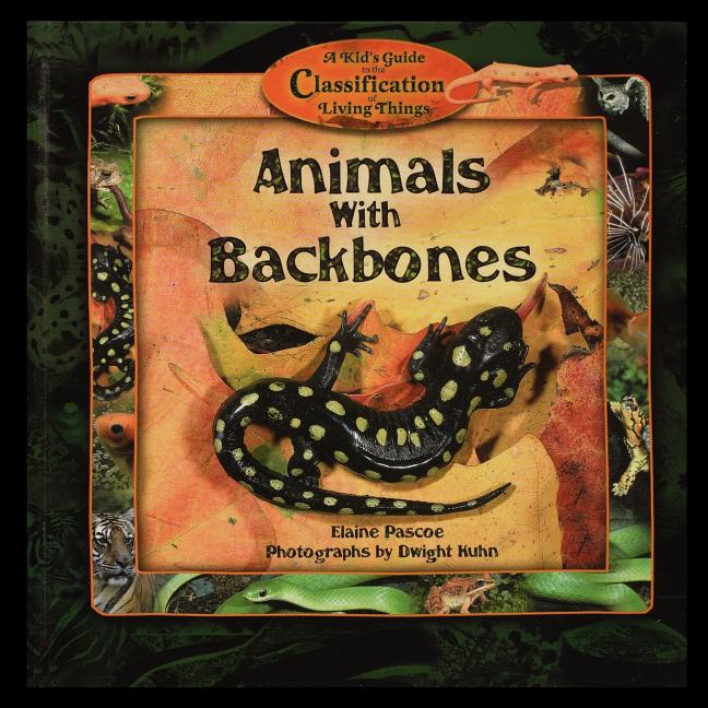 Animals Backbones