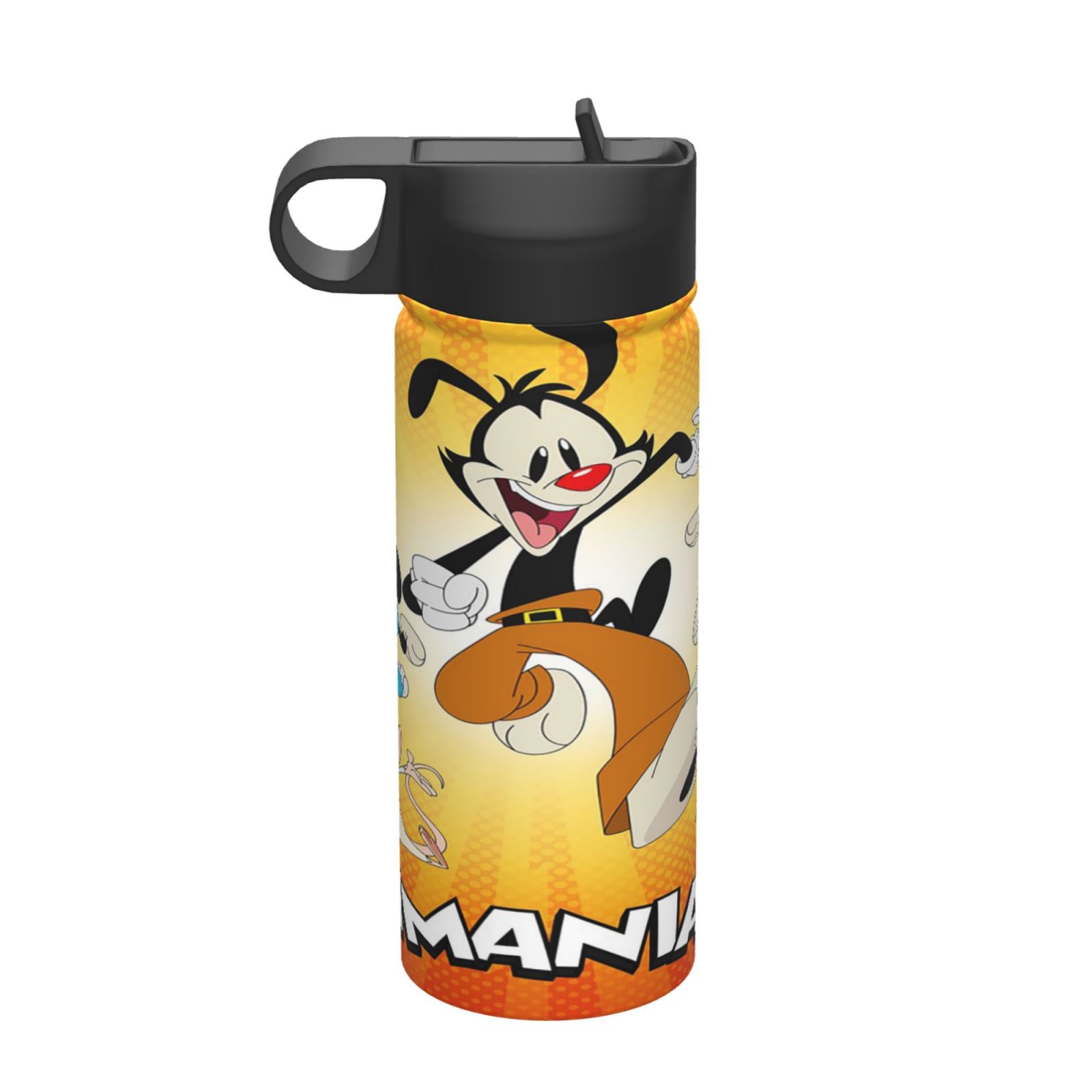 Animaniacs 18oz Insulated Water Bottle with Handle, Stainless Steel ...
