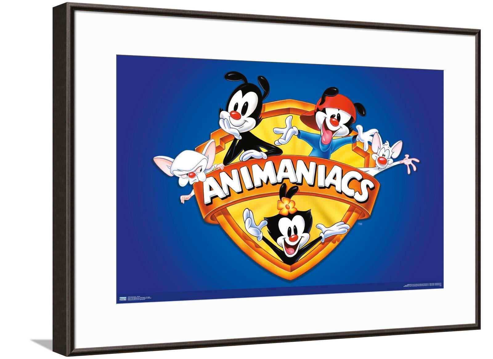 Animaniacs - Shield Canvas Wall Poster, 14.725" x 22.375" - Walmart.com