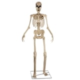 FUN Costumes, Animated 8 Foot Giant Skeleton Decoration - Walmart.com
