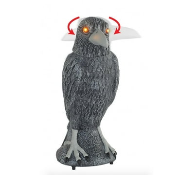 Head Turning Raven with Sound Halloween Decoration - Walmart.com