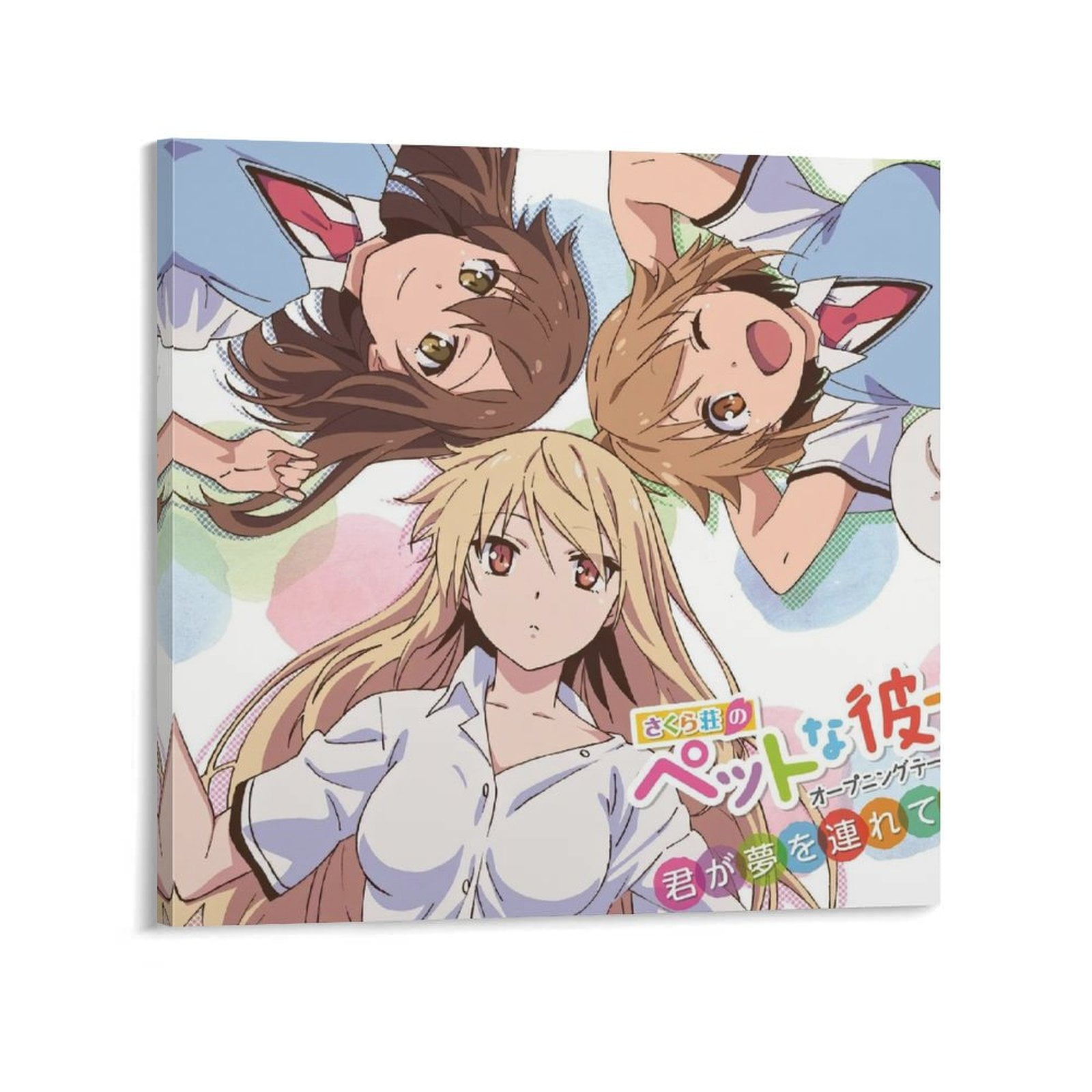 Anime And Manga Based on Light Novels The Pet Girl of Sakurasou Poster ...