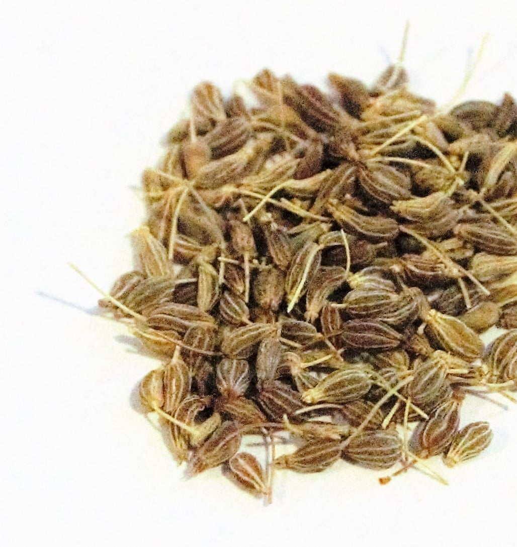 Anise Seed Whole - Walmart.com