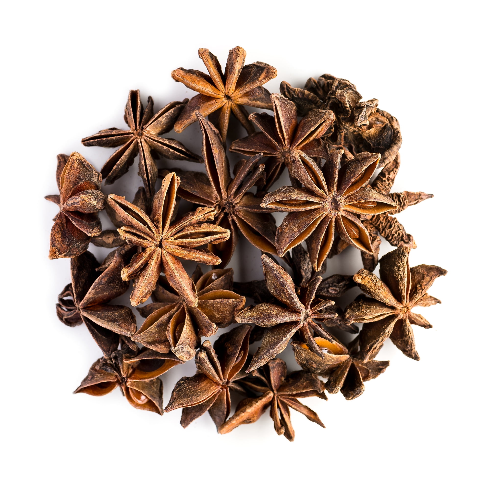 Anise Star Seed Organic Tea - Staranise or Staranis Illicium Verum ...