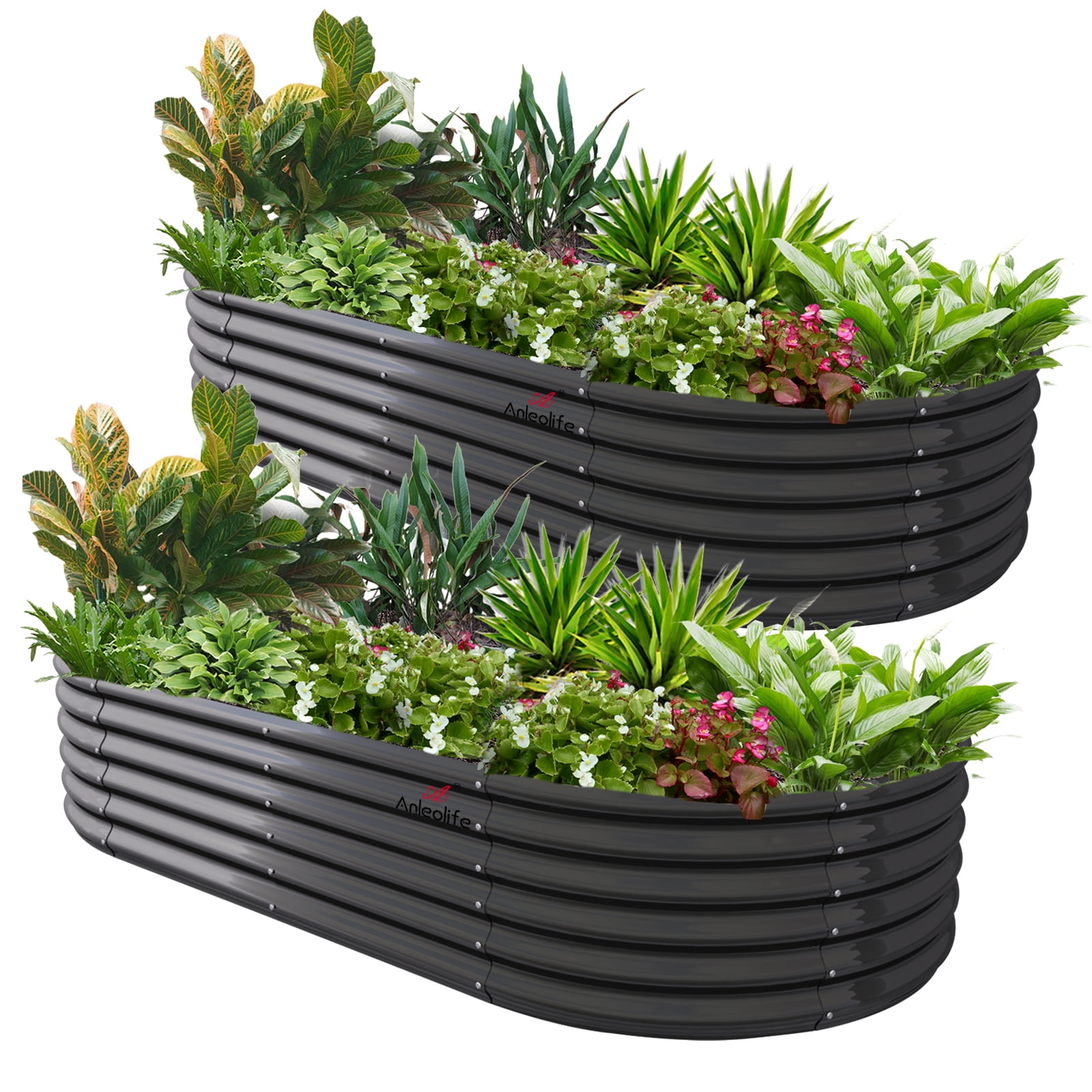 Anleolife 2 PACK 8x4x1.5 ft Galvanized Raised Garden Beds Outdoor, Oval ...