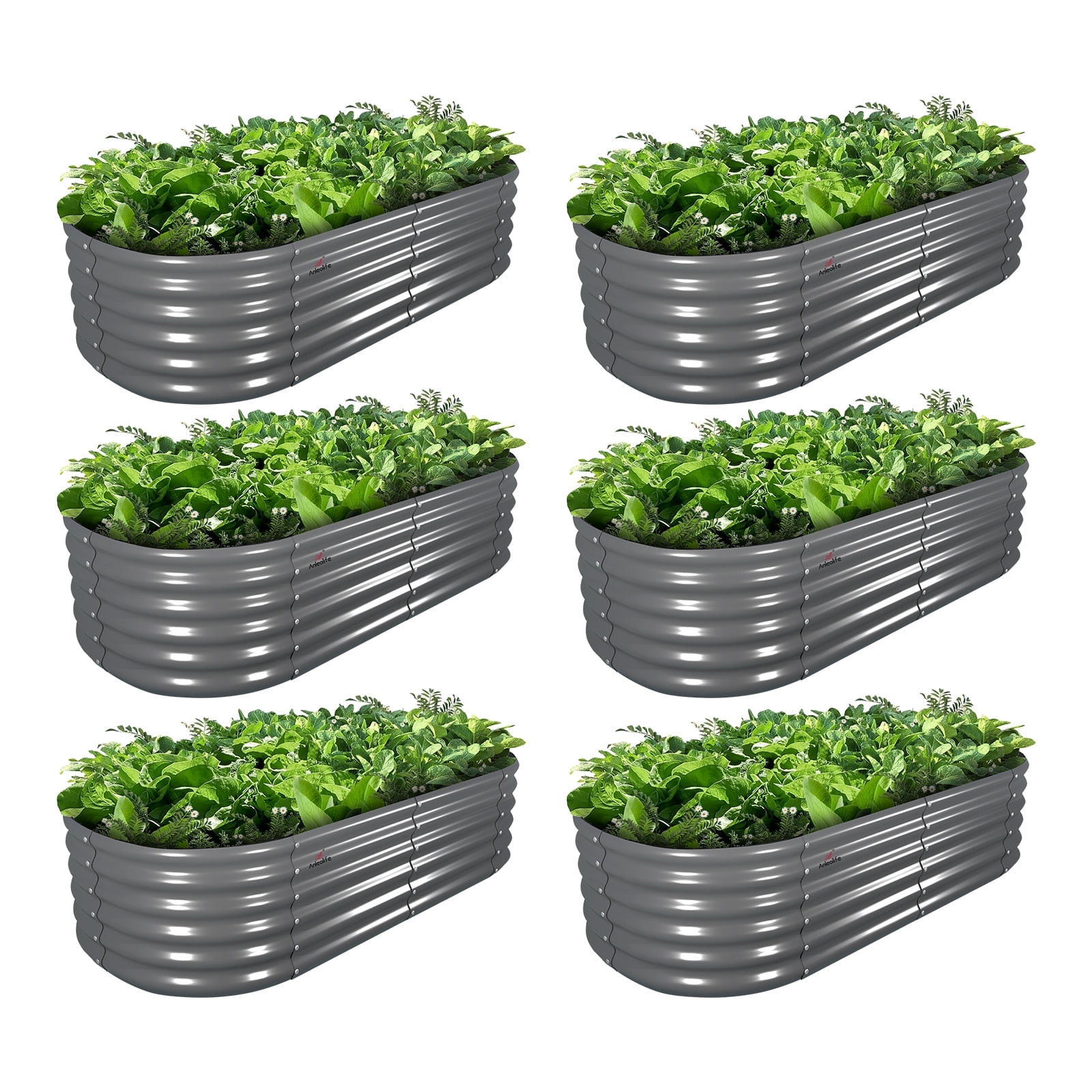 Anleolife 6-Pack 6x2x1.5ft Galvanized Raised Garden Beds Kit, Oval ...