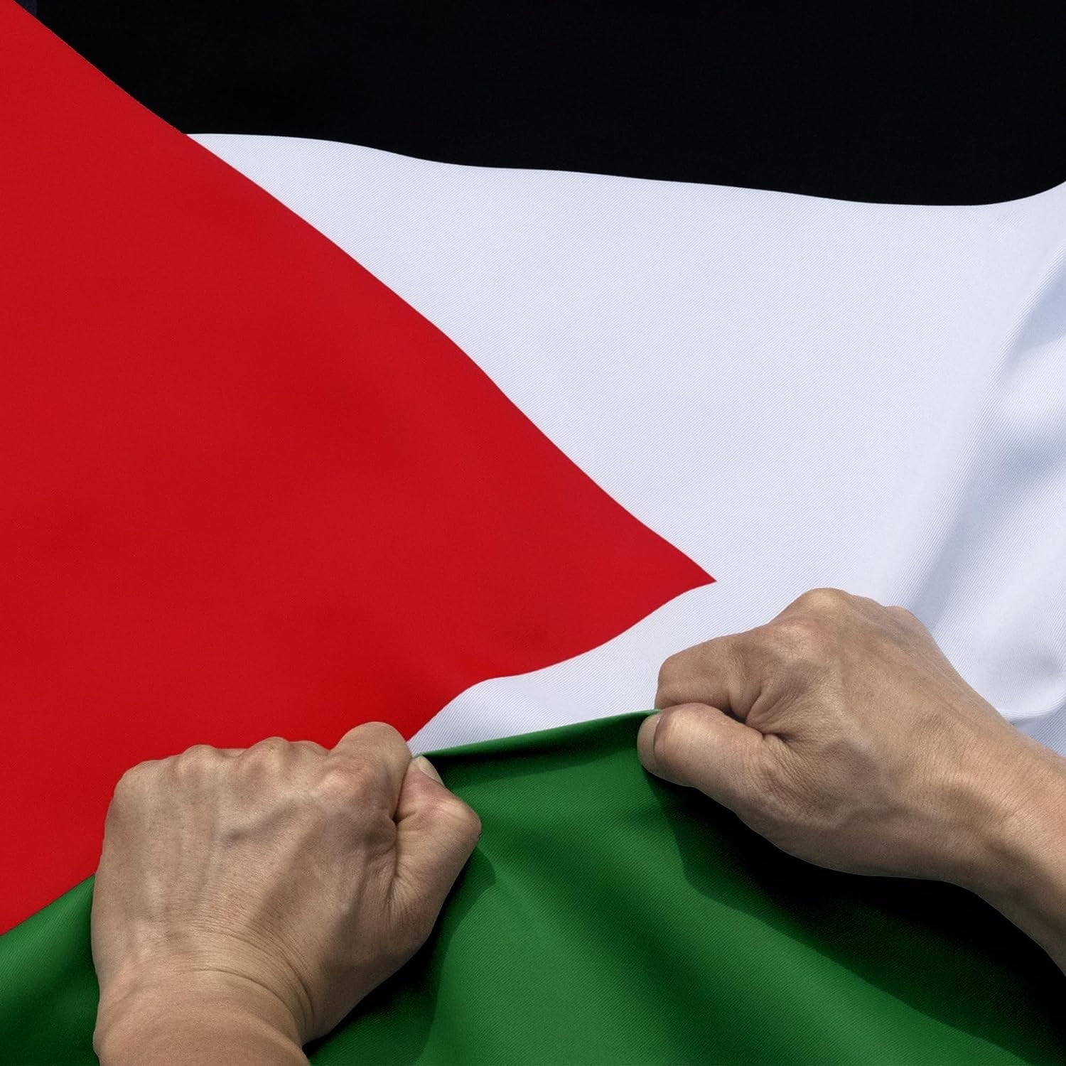 Anley Rip-Proof Double Sided 3-Ply Palestine Flag 3x5 Foot ...