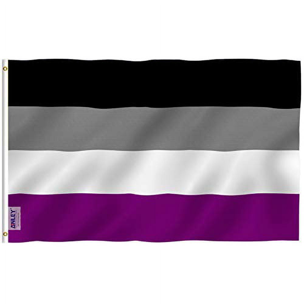 Anley Fly Breeze 3x5 Feet Asexual Pride Flag - Vivid Color and Fade proof - Canvas Header and ...
