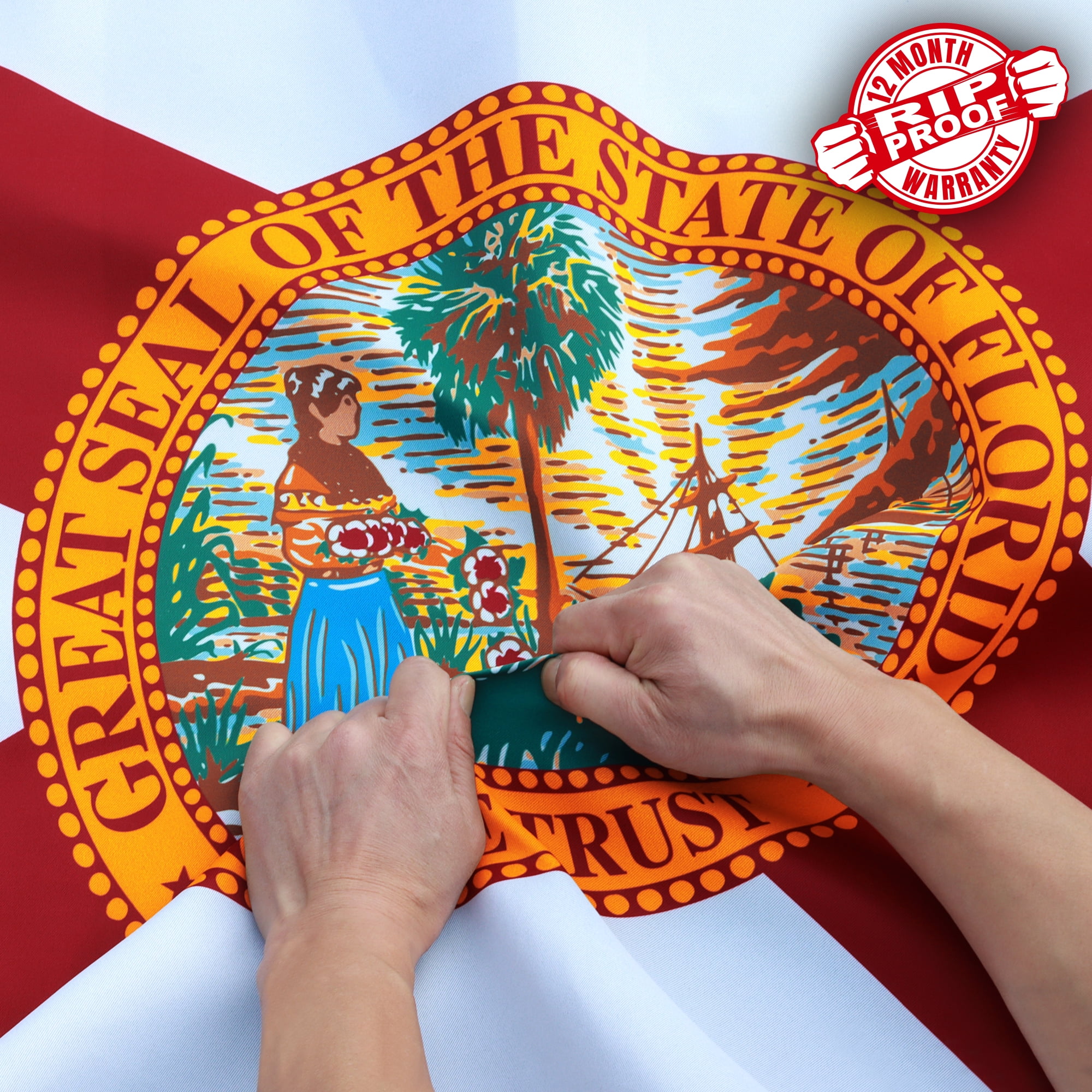 Anley Rip Proof Double Sided 3 Ply Florida State Flag 3x5 Foot Usa Fl