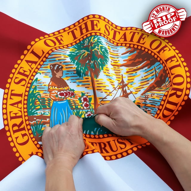 Anley Rip-Proof Double Sided 3-Ply Florida State Flag 3x5 Foot - USA FL ...