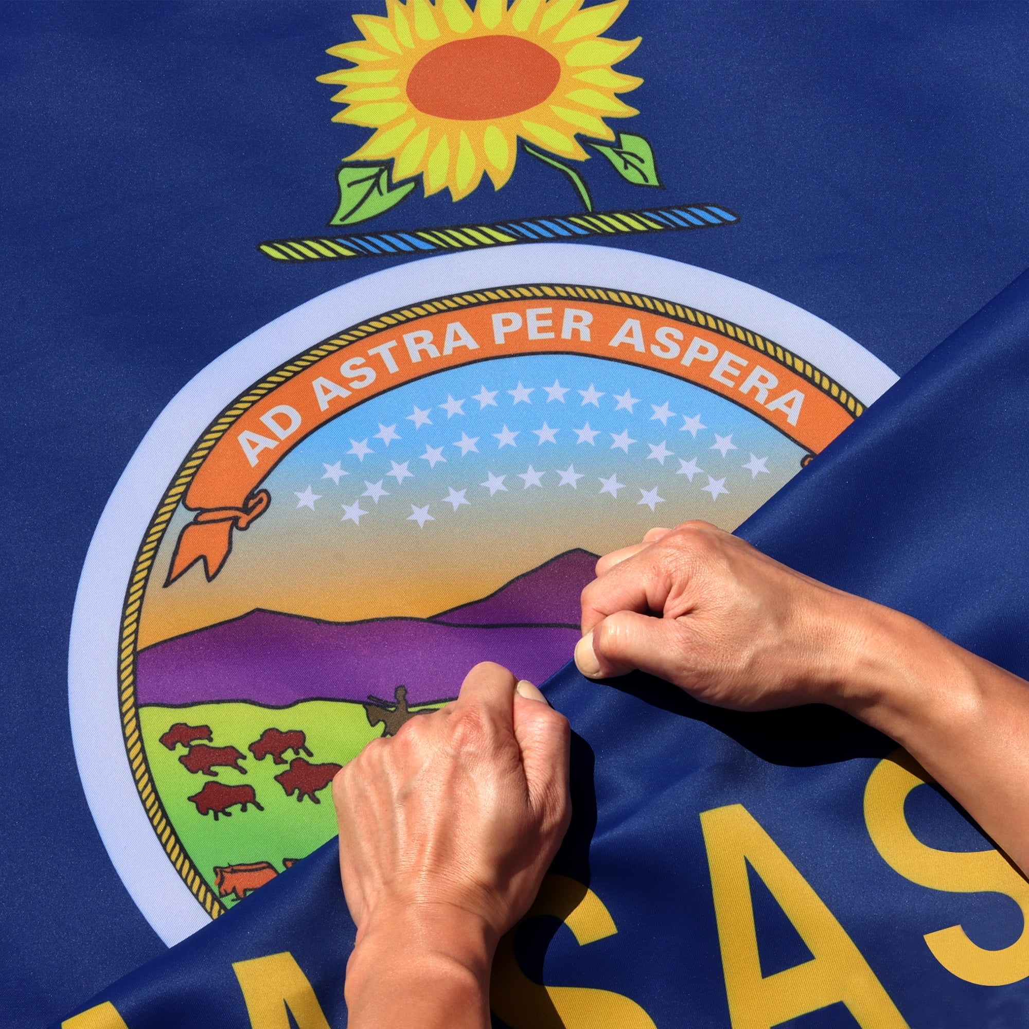 Anley Rip-Proof Double Sided 3-Ply Kansas State Flag 3x5 Foot - Kansas ...