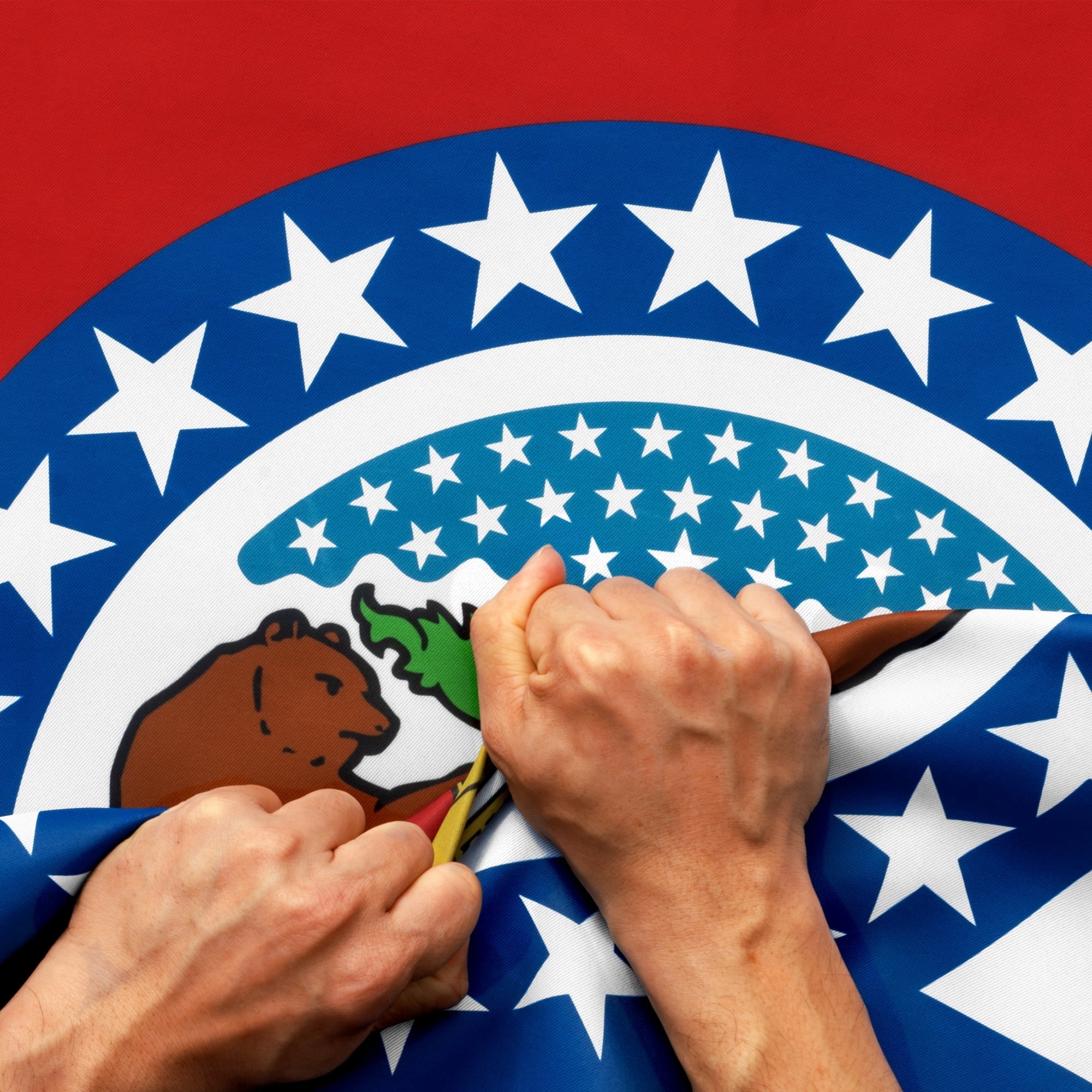Anley Rip-Proof Double Sided 3-Ply Missouri State Flag 3x5 Ft ...