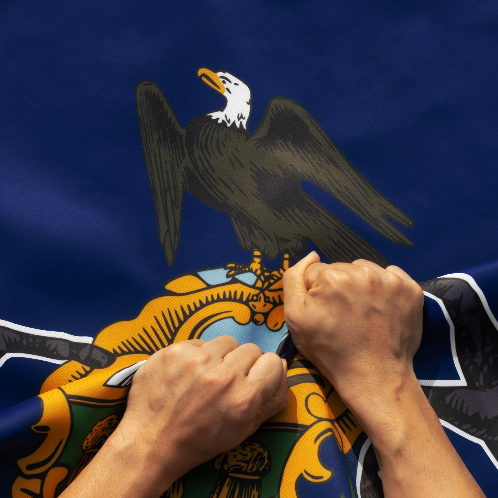 Anley Rip-Proof Double Sided 3-Ply Pennsylvania State Flag 3x5 Foot ...