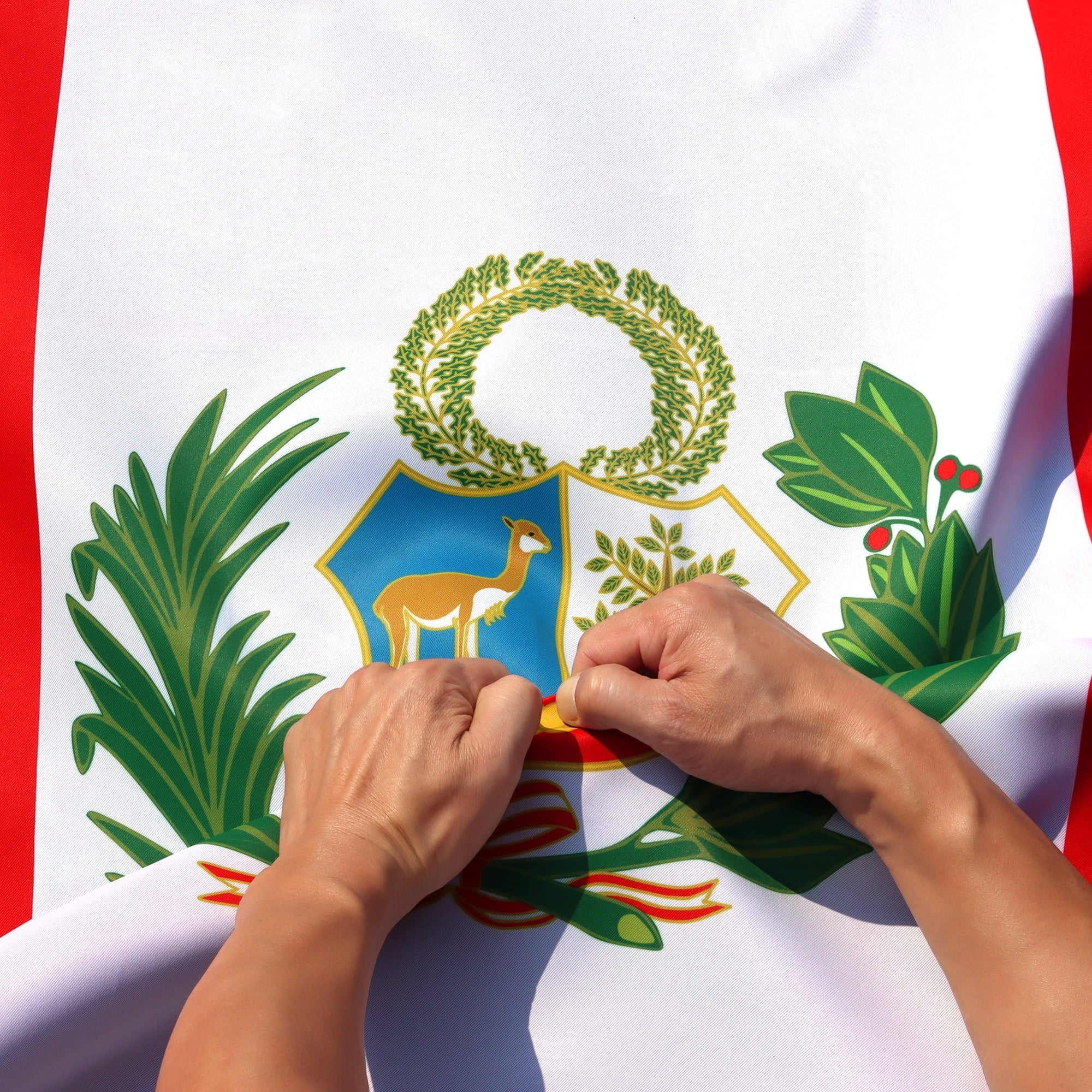Anley Rip-Proof Double Sided 3-Ply Peru Flag 3x5 Foot - Peruvian ...