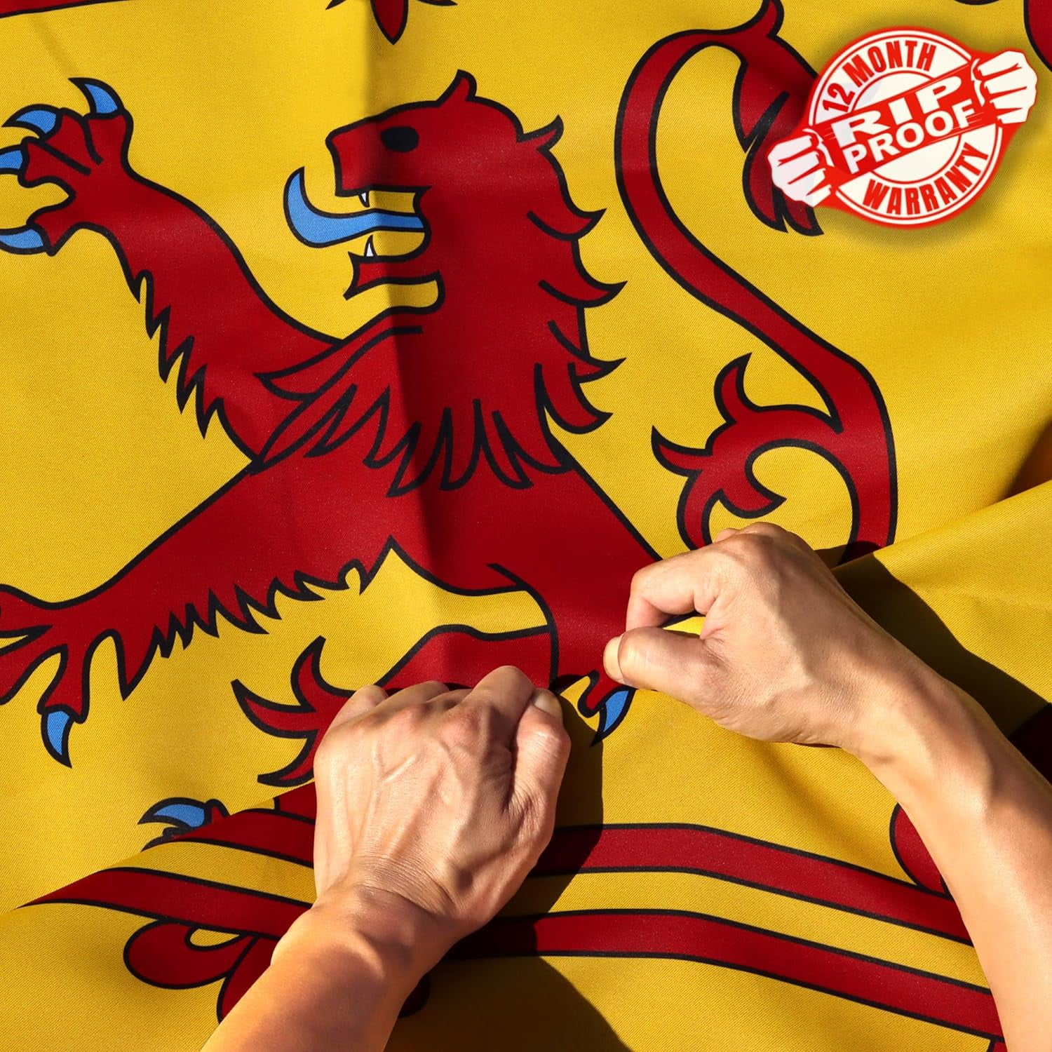 Anley Rip-Proof Double Sided 3-Ply Scotland Rampant Lion Flag 3x5 Foot ...