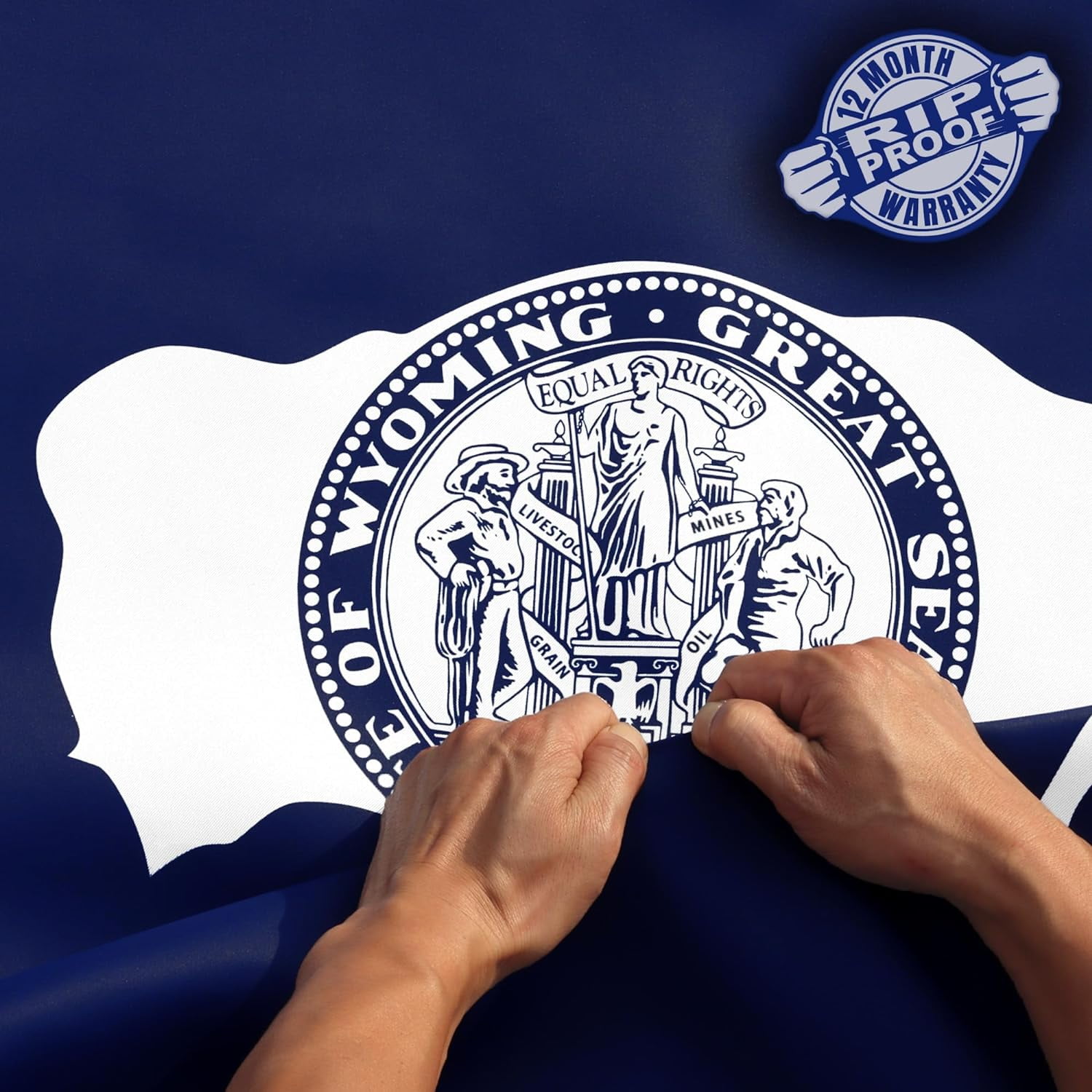 Anley Rip-Proof Double Sided 3-Ply Wyoming State Flag 3x5 Foot ...