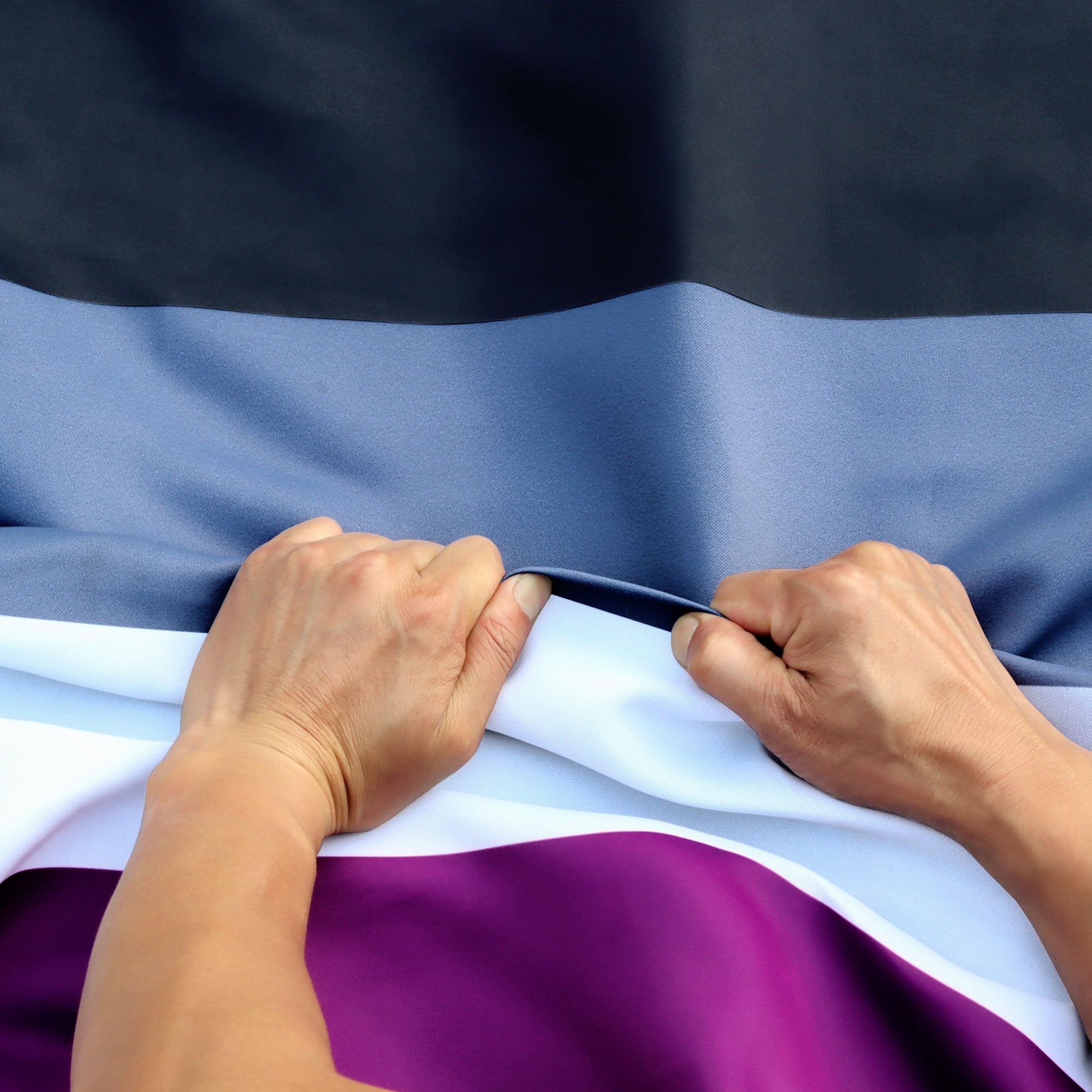Anley Rip-Proof Technology Double Sided 3-Ply Asexual Pride Flag 3x5 ...