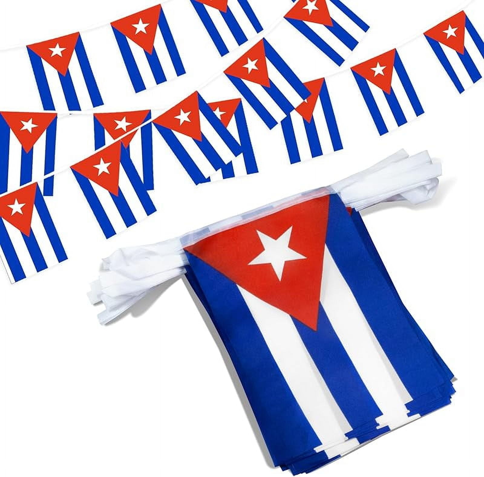 Anley USA American String Pennant Flags, Patriotic Events 4th of July ...