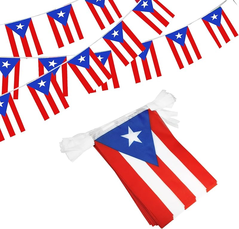 Anley USA American String Pennant Flags, Patriotic Events 4th of July ...