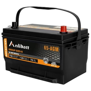 Group 65 Batteries in Car Batteries - Walmart.com