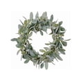 Anmrize 16" Lambs Ear Wreath, Frosted Silver Greenery Decor, Lambs Ear ...