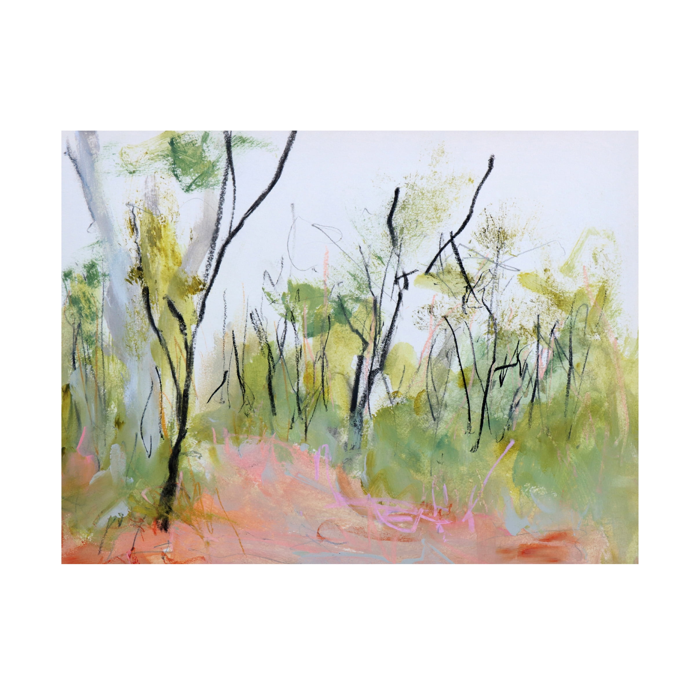 Ann Gordon 'Loop Trail Through Swamp Oak Woodland' Canvas Art - Walmart.com