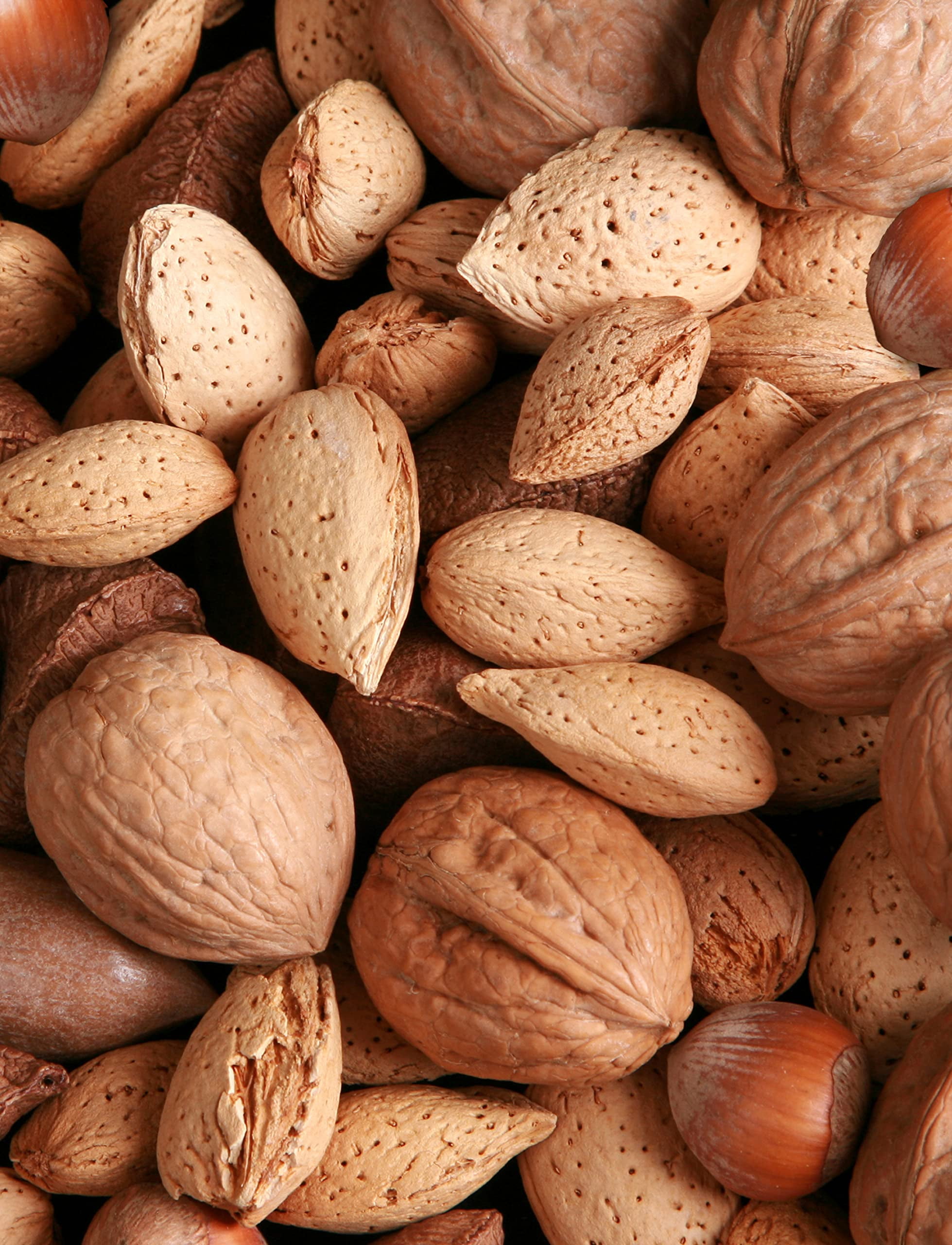 Anna and Sarah Premium DEF29 Mixed Nuts in Shell, 2 Pound Bag ...