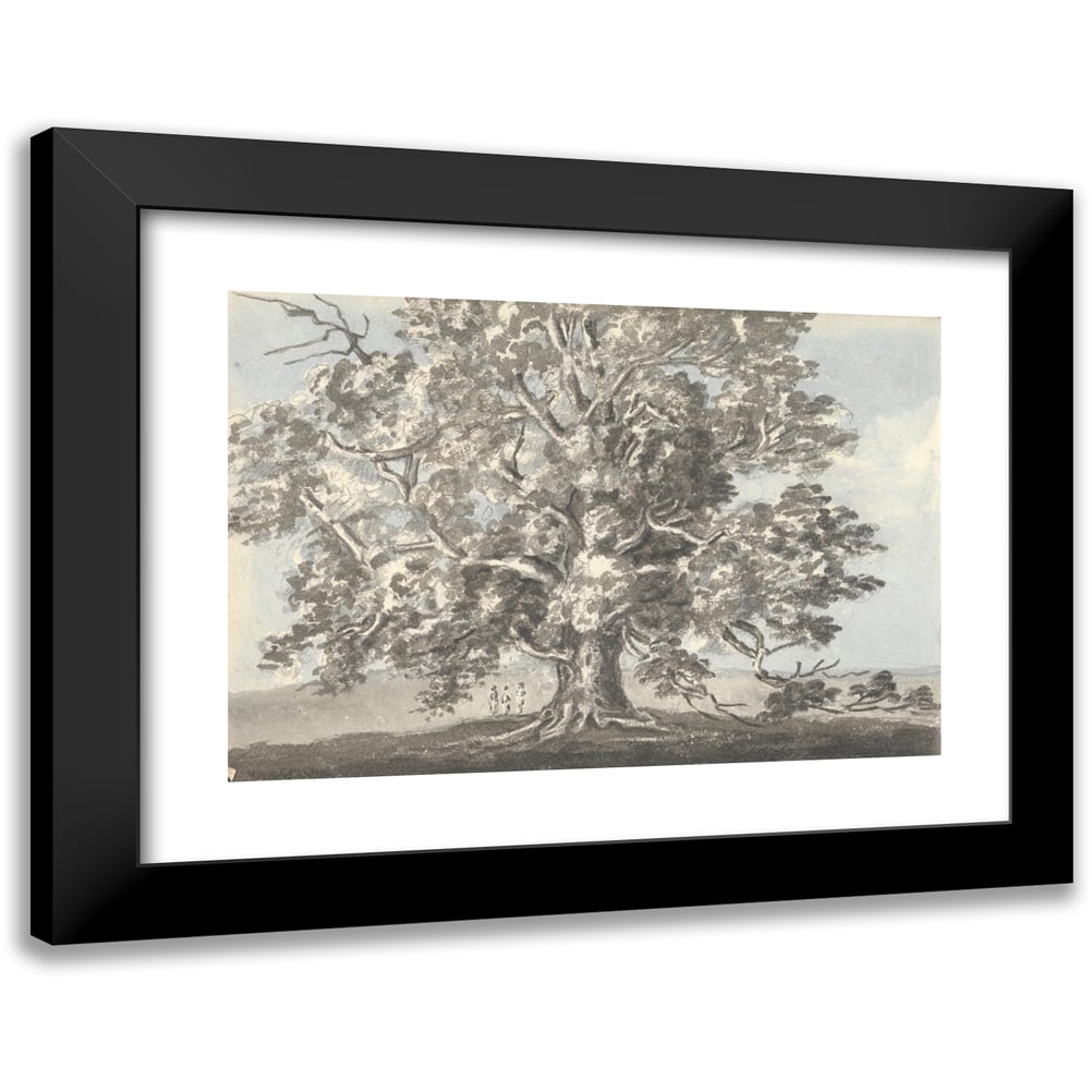 Anne Rushout 14x11 Black Modern Framed Museum Art Print Titled - Three ...