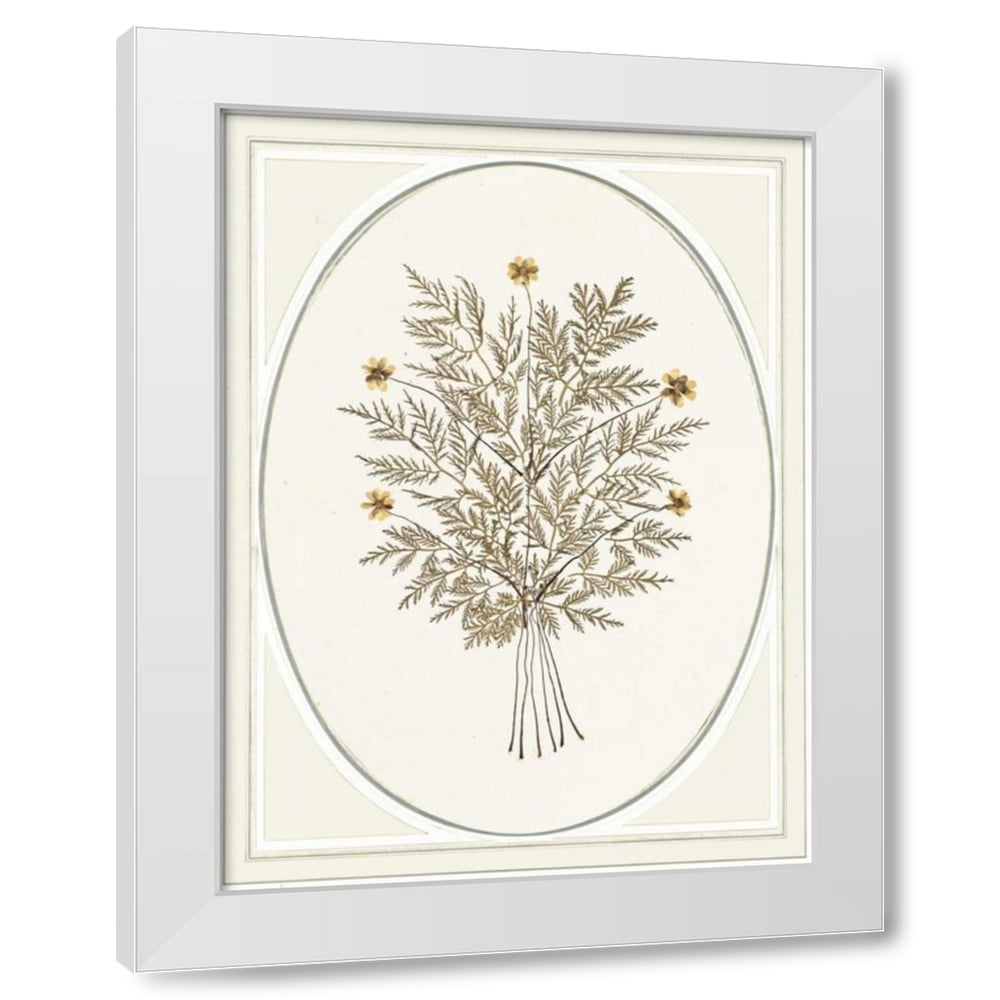 Anne Waltz 4x14 White Modern Wood Framed Wall Art Titled - Gardenio IV ...