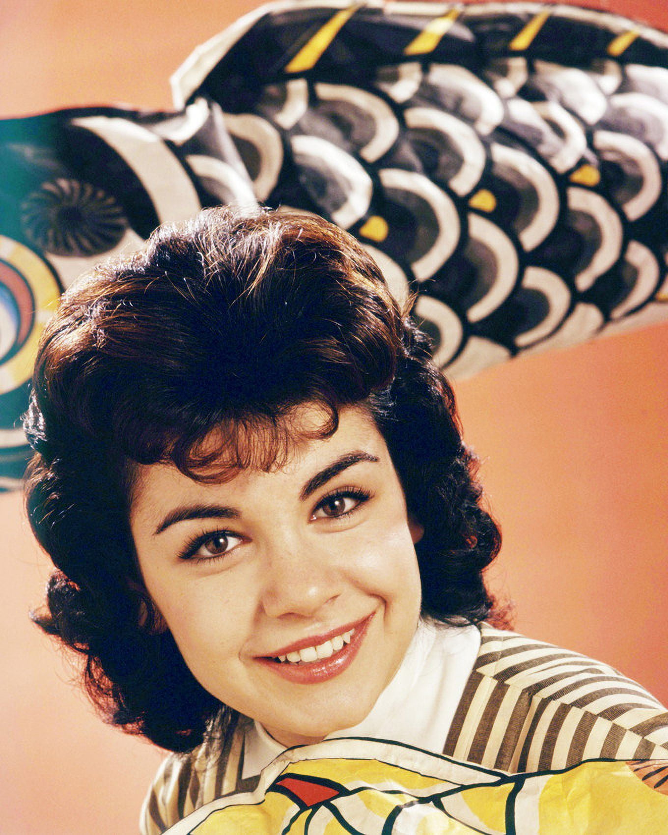 Annette Funicello 24X36 Classic Hollywood Poster 1960's Smiling ...