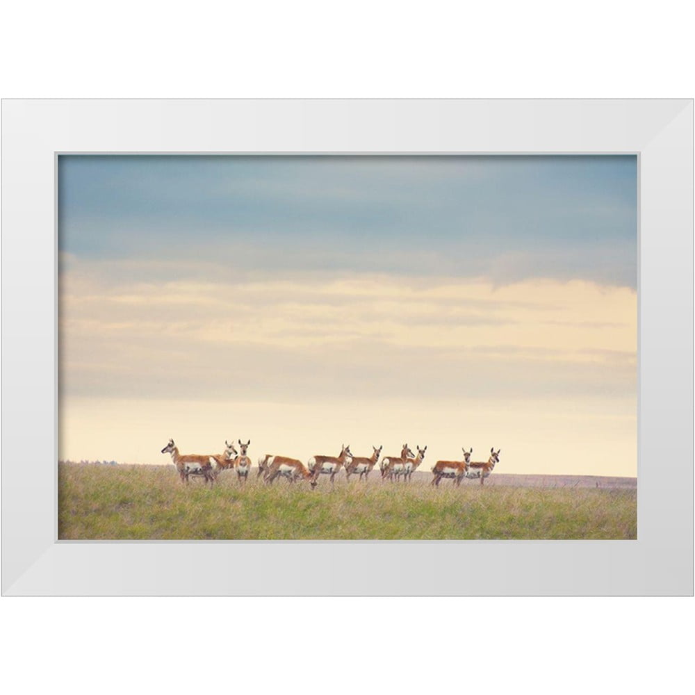 Annie Bailey Art 24x17 White Modern Wood Framed Museum Art Print Titled ...