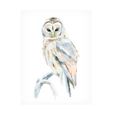 Annie Warren 'Woodland Koala I' Canvas Art - Walmart.com