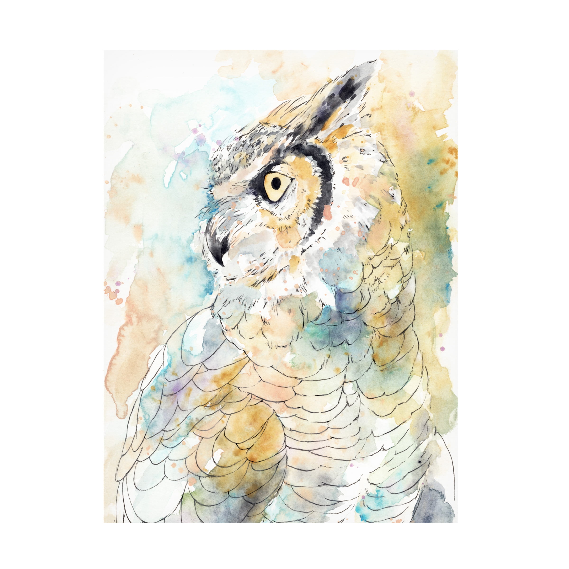 Trademark Fine Art Annie Warren Owl Majestic I Canvas Art, Modern ...