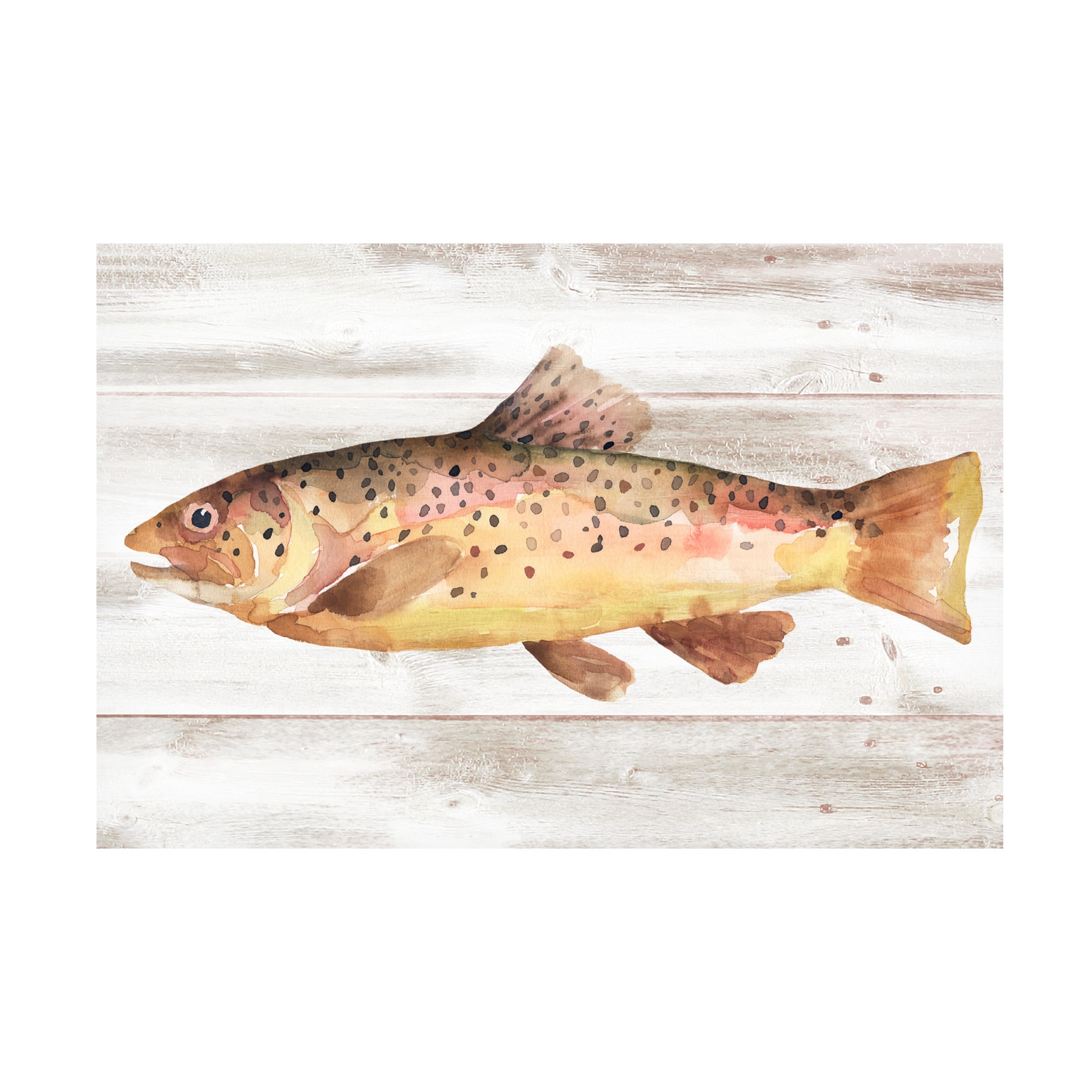 Free Shipping! Trademark Fine Art Spotted Trout Canvas Art by Annie ...