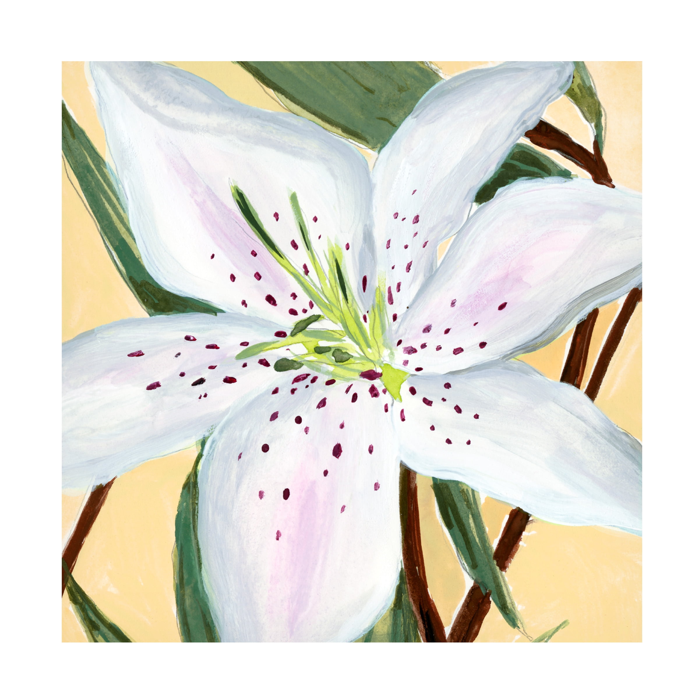 Annie Warren 'White Lily II' Canvas Art - Walmart.com