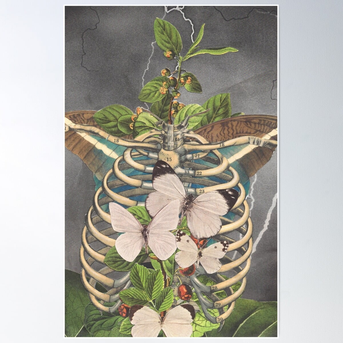 Annihilation Poster Wall Art, Modern Wall Decor For Living Room Bedroom ...