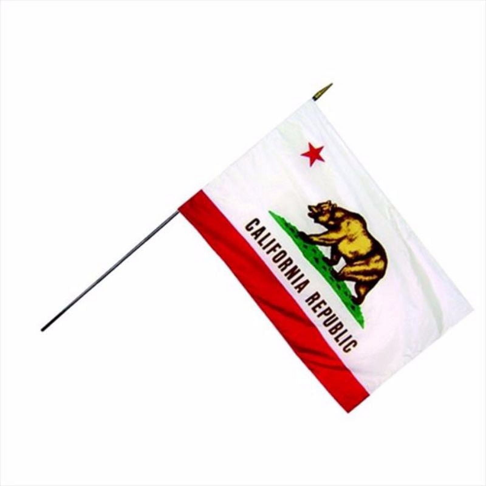 Annin 038607 16 x 24 In. California State Flag With Fringe - Walmart.com