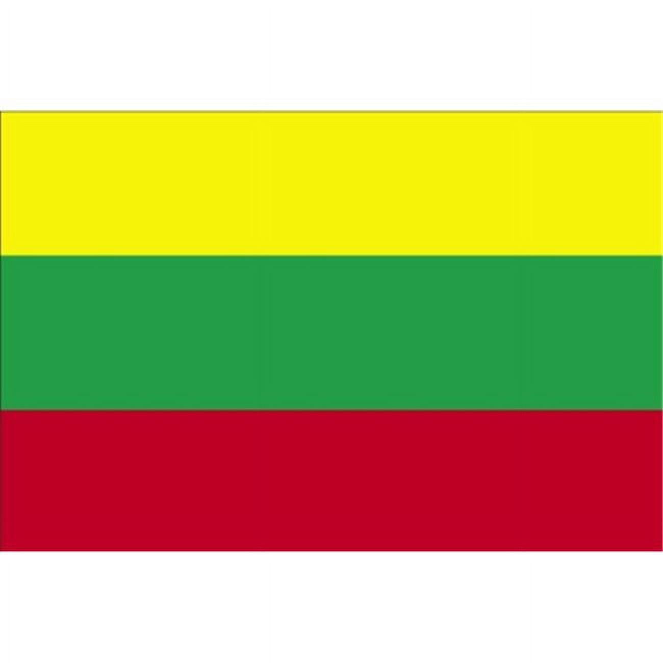 Annin Flagmakers 195011 5 ft. X 8 ft. Nyl-Glo Lithuania Flag - Walmart.com