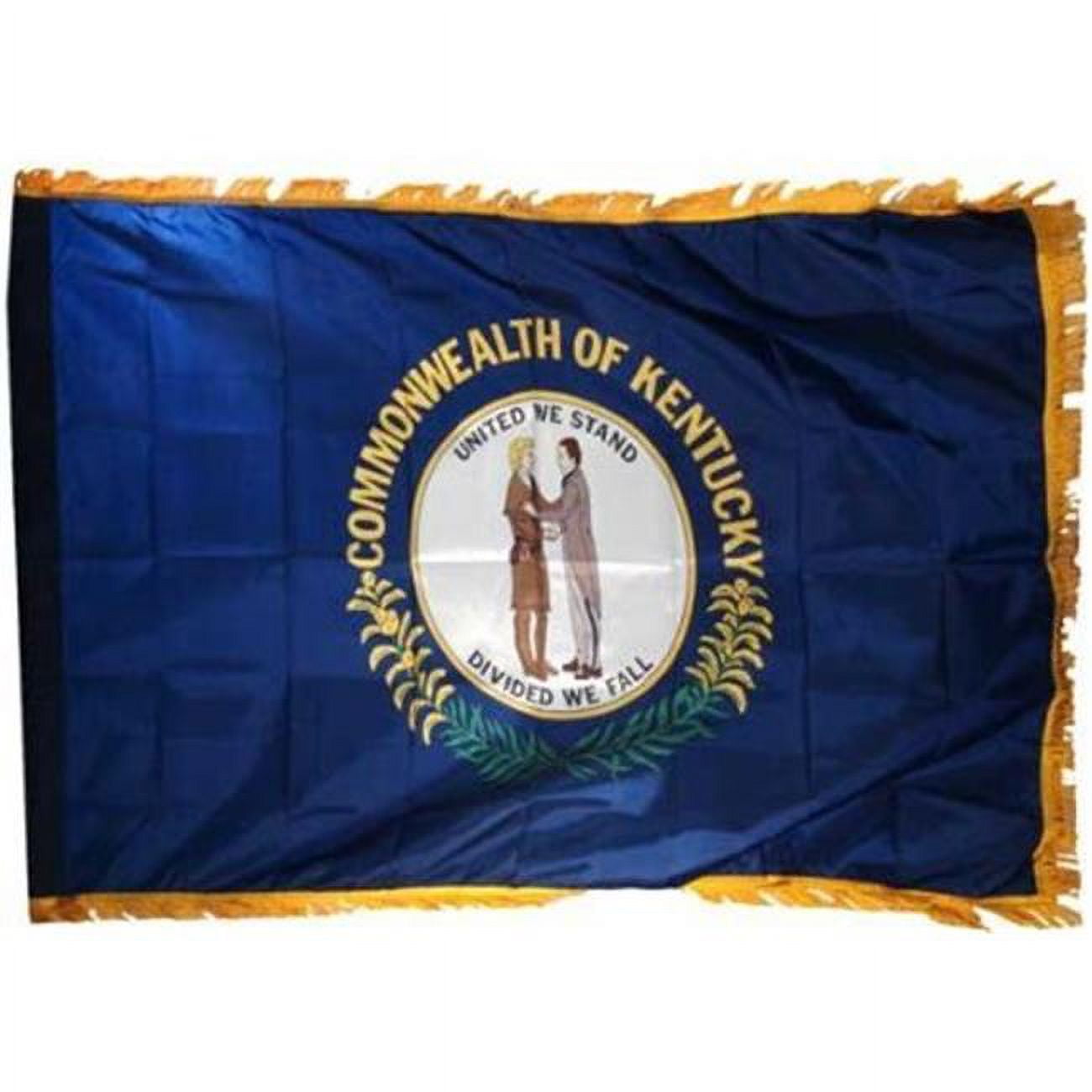 Annin Flagmakers 3 ft. x 5 ft. Indoor and Parade Colonial Nyl-Glo ...