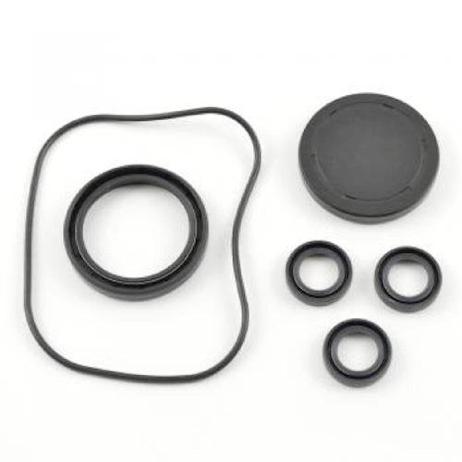 Annovi Reverberi AR Oil Seal Repair Kit 2188 RSV Power Pressure Washer ...