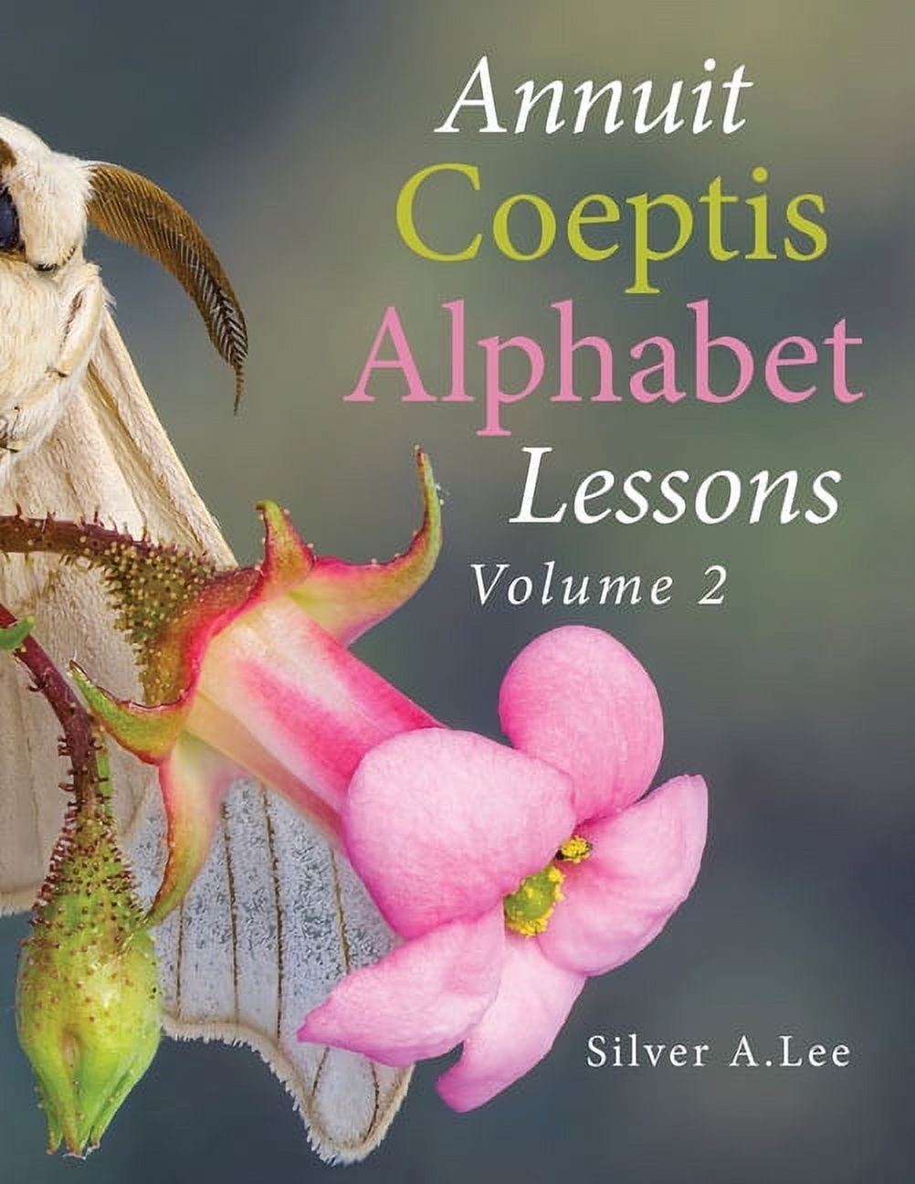 Annuit Coeptis Alphabet Lessons: Volume 2 (Paperback) - Walmart ...