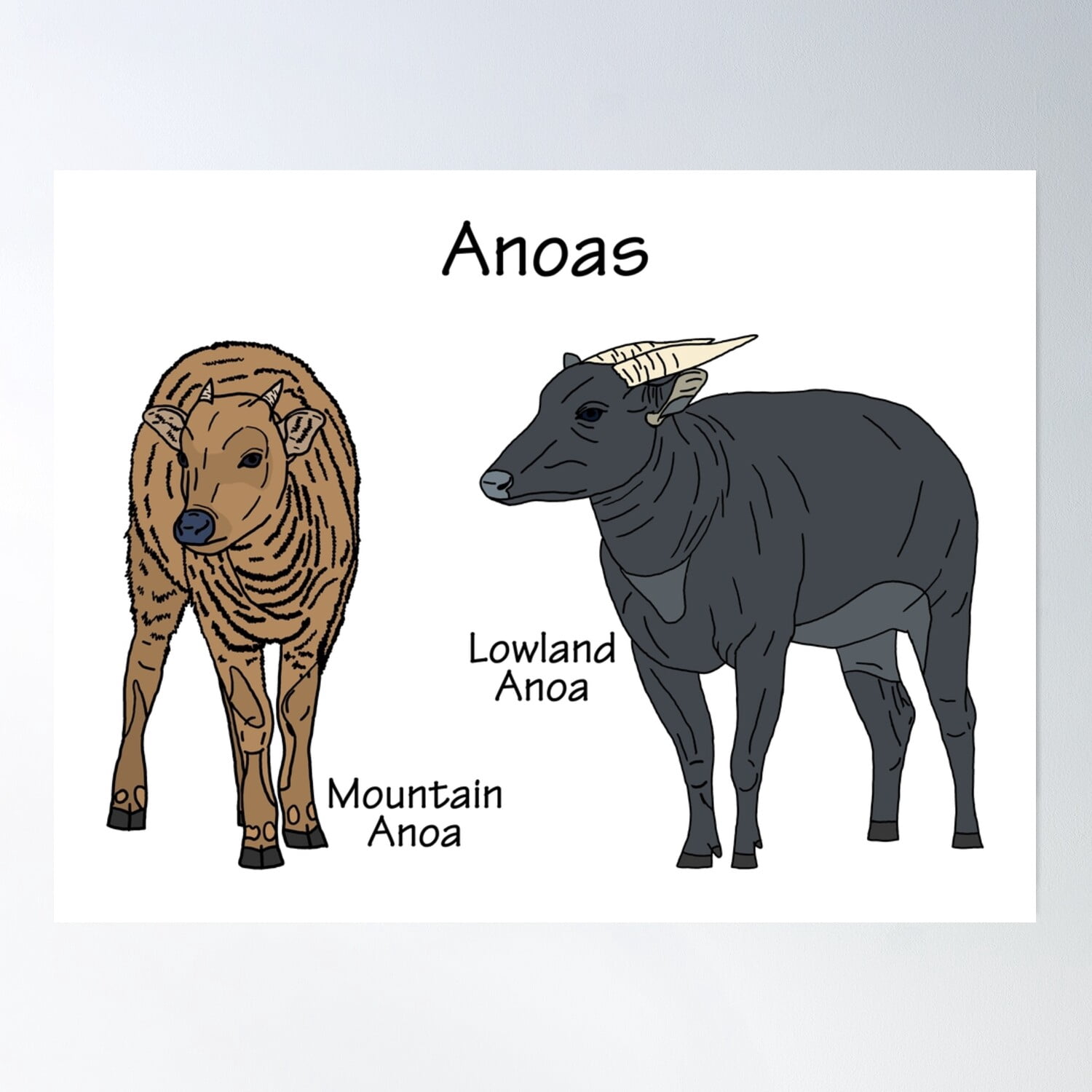 Anoa Poster Wall Art, Modern Wall Decor, 16x24 UNFRAMED - Walmart.com