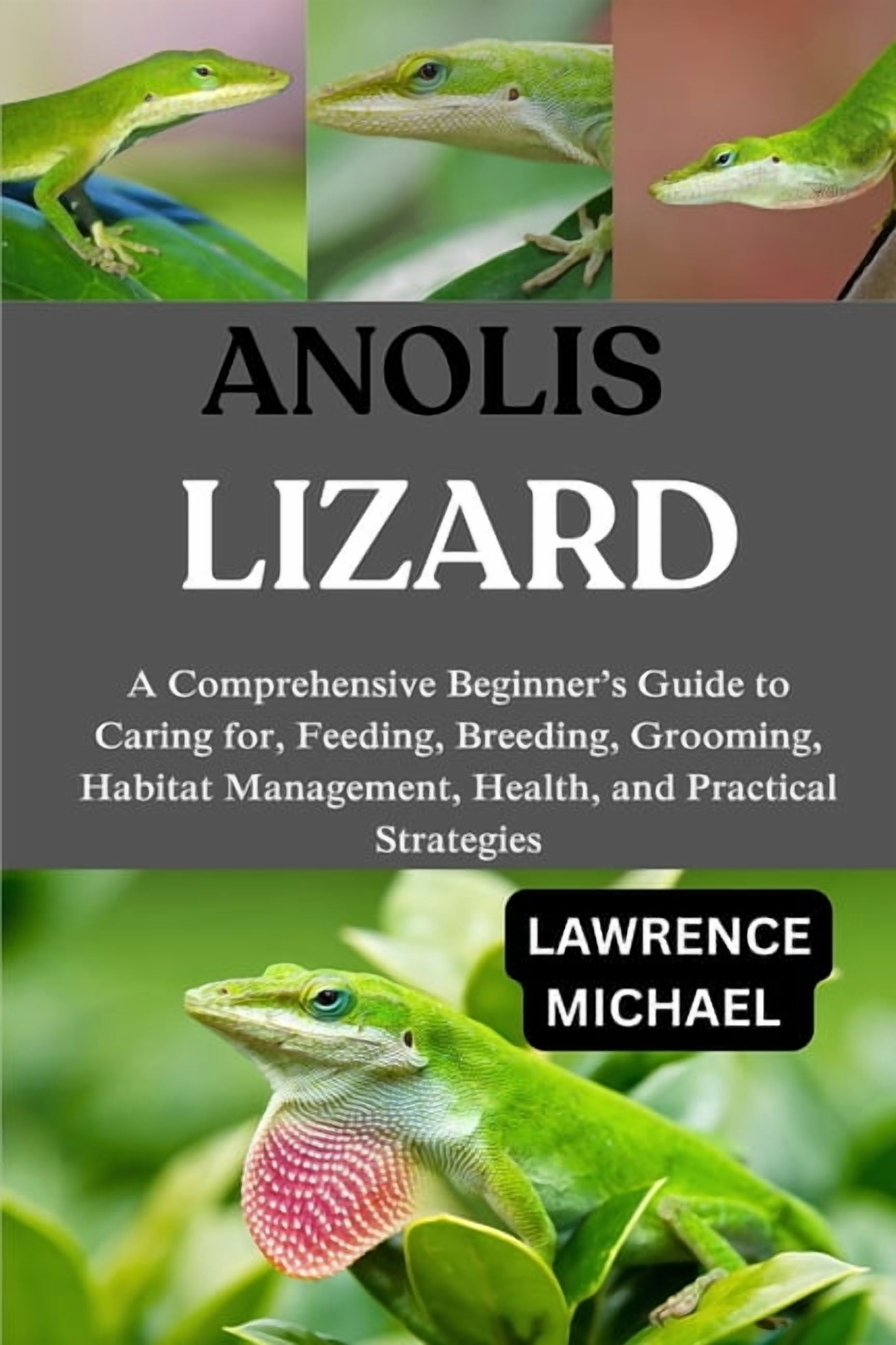 Anolis Lizard: A Comprehensive Beginner's Guide to Caring for, Feeding ...