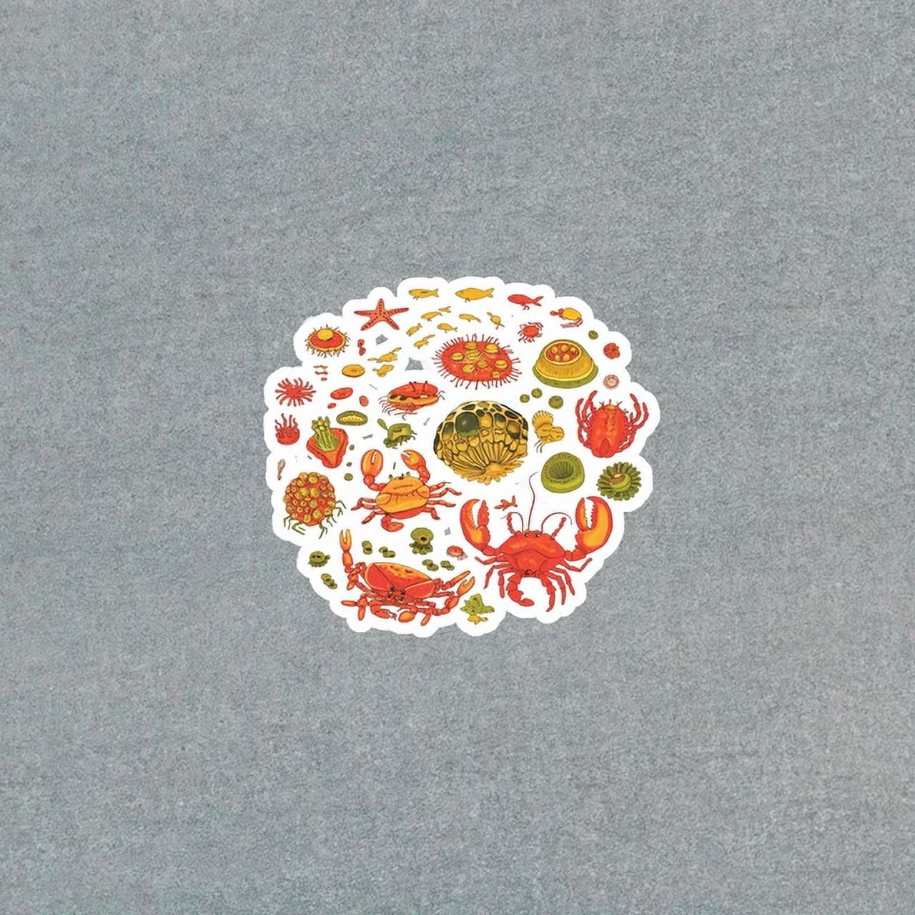 Anomalocaris Cambrian Sea Life Stickers - Prehistoric Aquatic Creatures ...