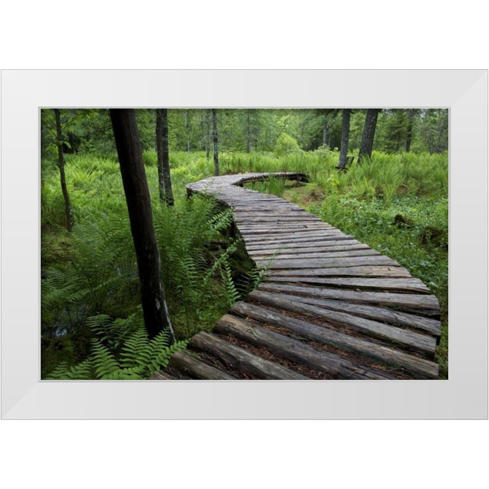 Anon, Ellen 14x11 White Modern Wood Framed Museum Art Print Titled ...
