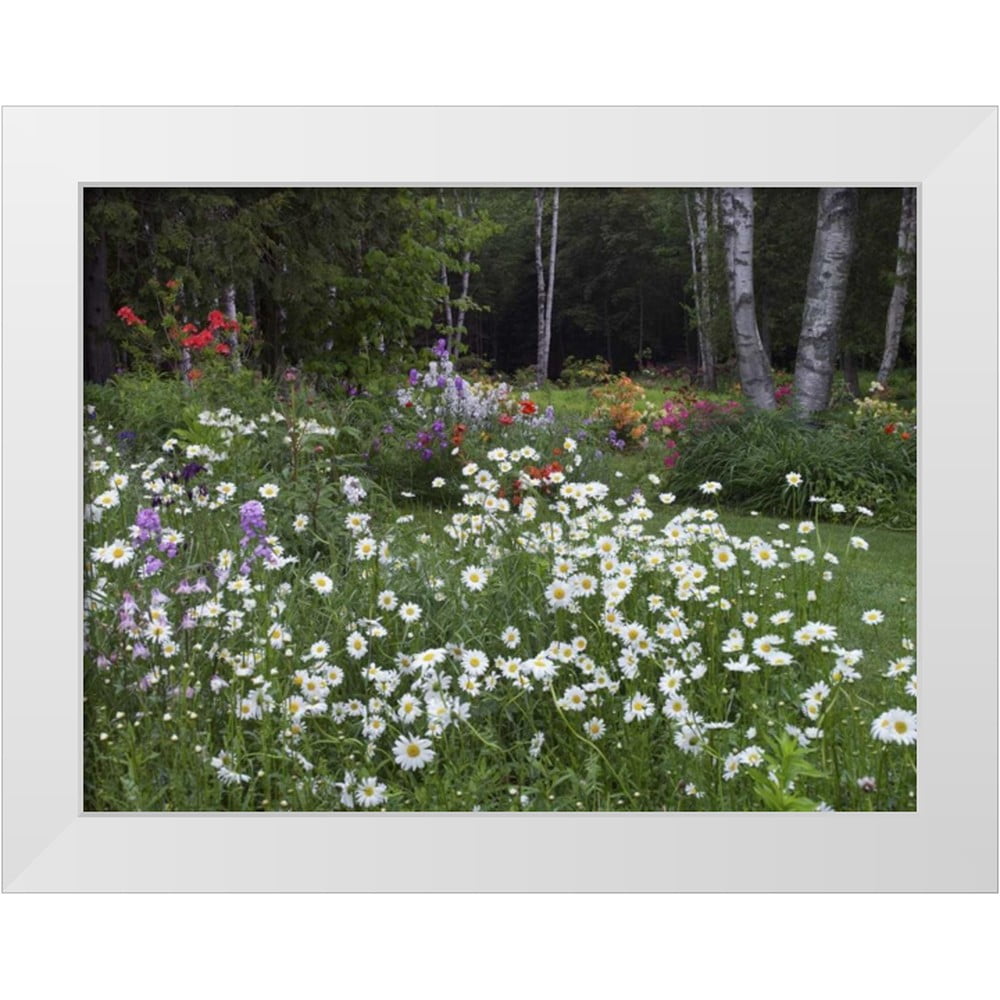 Anon, Ellen 14x12 White Modern Wood Framed Museum Art Print Titled ...